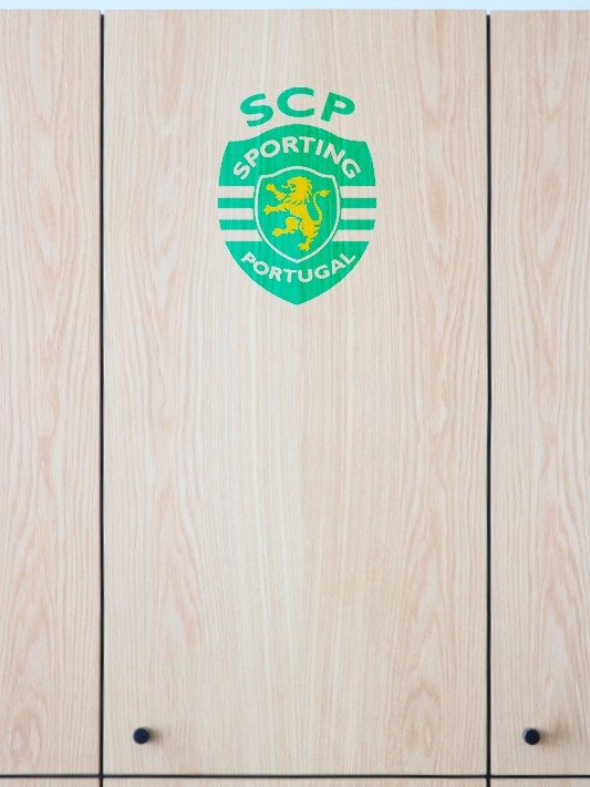 Força Portugal - Portugal, FC Porto, SL Benfica, Sporting CP e CR7 ...